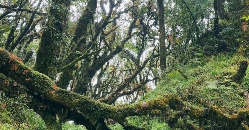 Review Trekking Samu Tự Túc 2N1Đ | blogs | Thế giới Combo