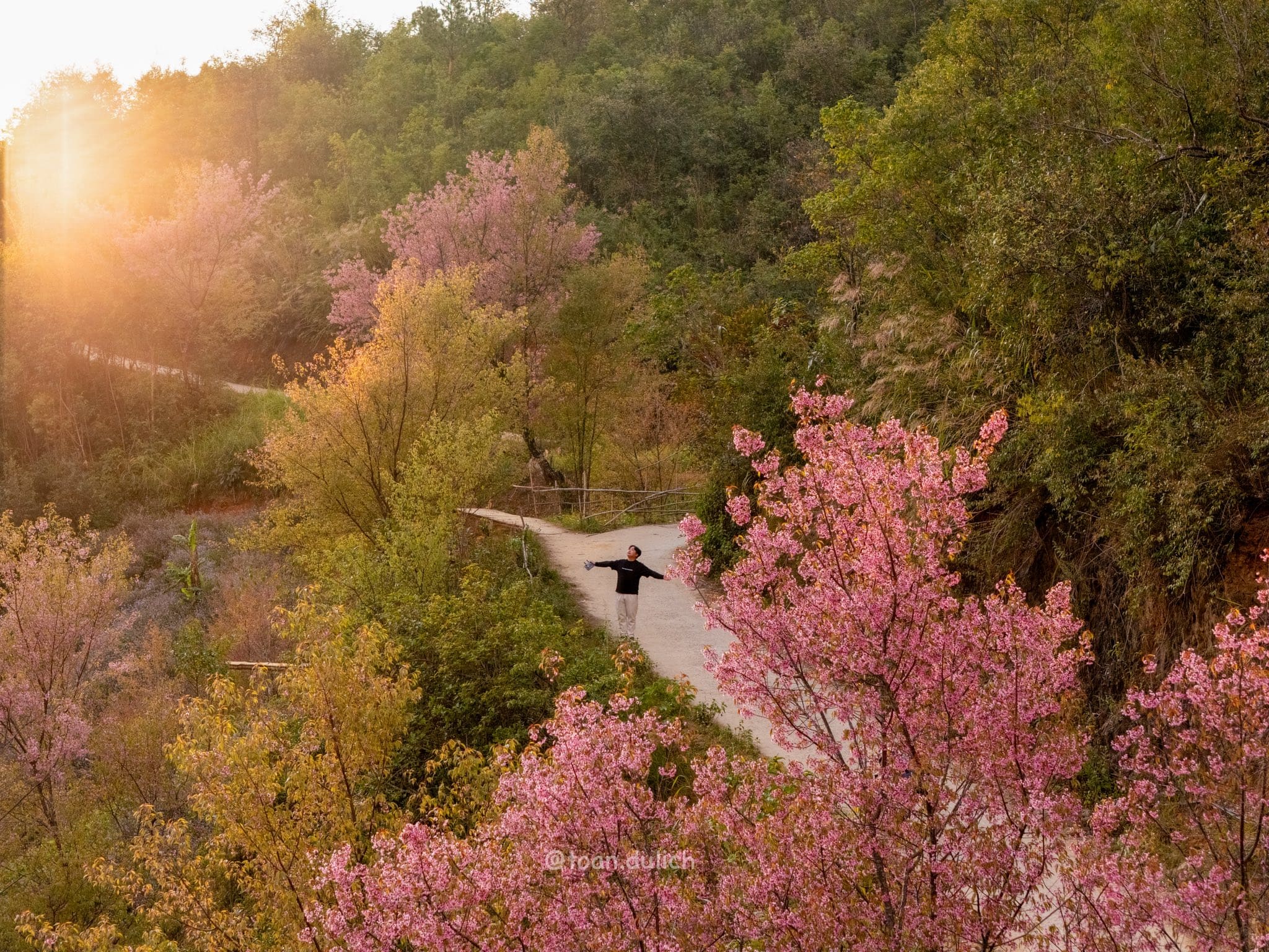 Review Chi Tiết Chuyến đi Mù Cang Chải 2N2Đ Mùa Hoa Tớ Dày đẹp Nhất ...